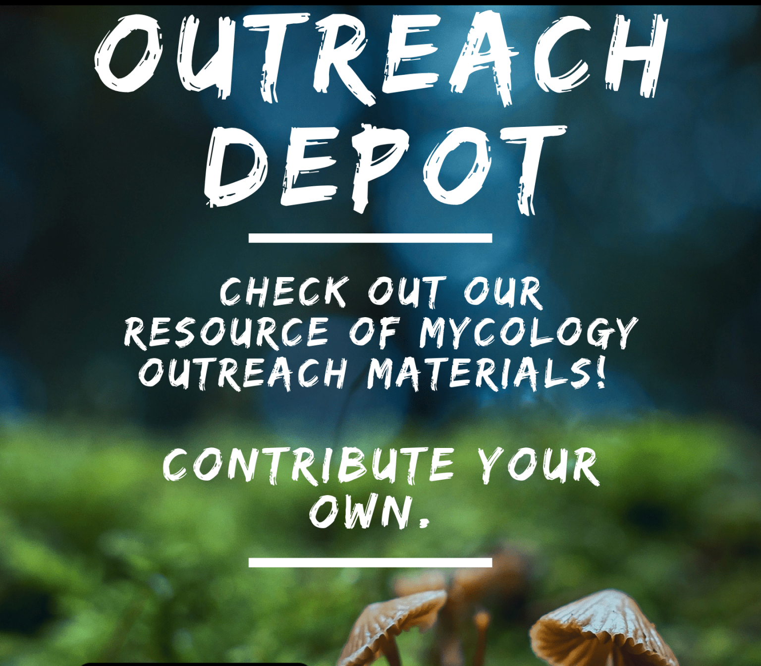 Outreach materials – MSA Student and Postdoc Section
